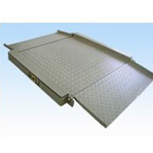 LP7622 Platform Scale Walkthrough with LP7510C Indicator Mild Steel 15 ...